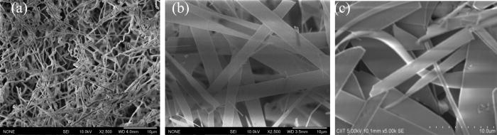 Competitive role of Mn diffusion with growth in Mn catalyzed ...