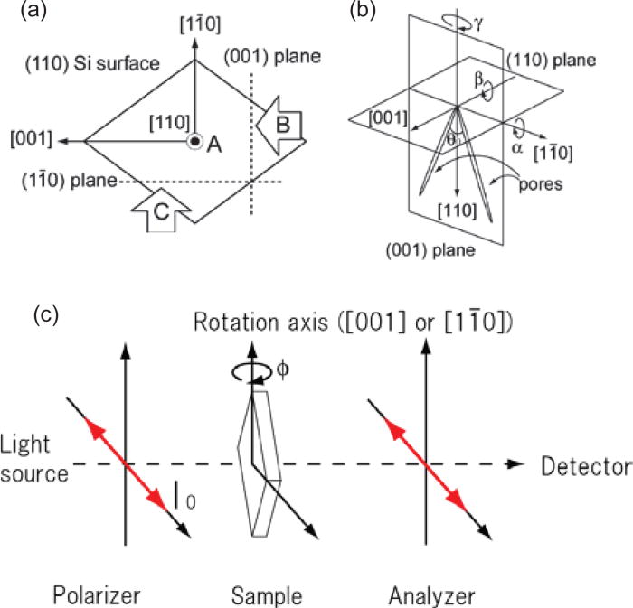 Three-dimensional structure of (110) porous silicon with in-plane ...