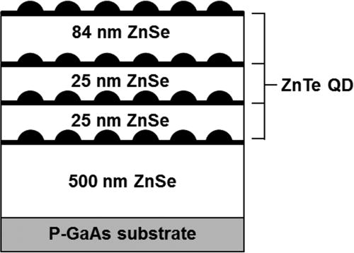Evolution of self-assembled type-II ZnTe/ZnSe nanostructures ...