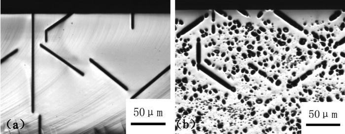 Influence Of Oxygen Precipitation On Copper Precipitation In Czochralski Silicon Journal Of