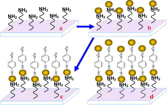 Surface enhanced fluorescence on three dimensional silver nanostructure ...