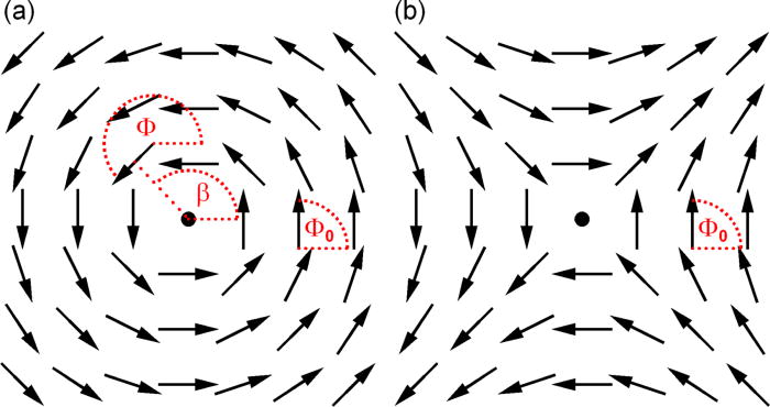 Influence of the winding number on field- and current driven dynamics ...