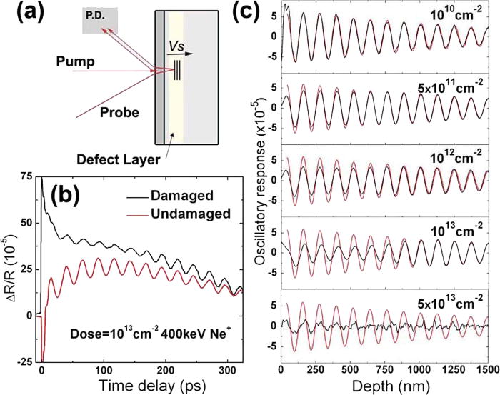Determination of optical damage cross-sections and volumes surrounding ...