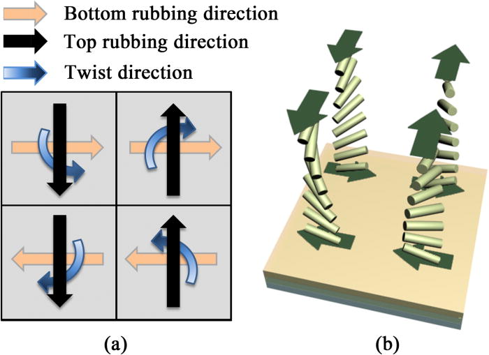 Four-domain twisted nematic structure with enhanced liquid crystal ...