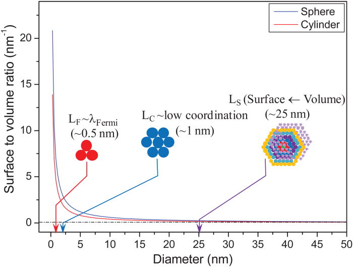 Physical properties of a two-component system at the Fermi and Sharvin ...