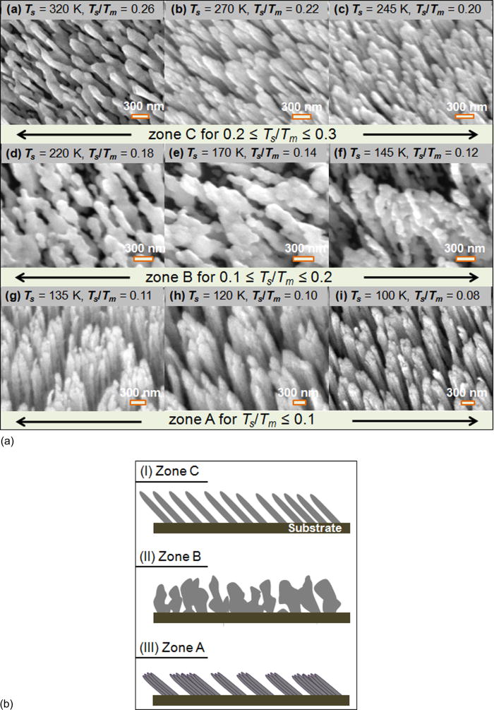 Revisiting the structure zone model for sculptured silver thin films ...