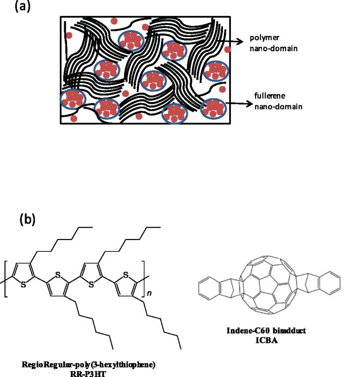 Ultrafast transient spectroscopy of nano-domains of polymer/fullerene ...