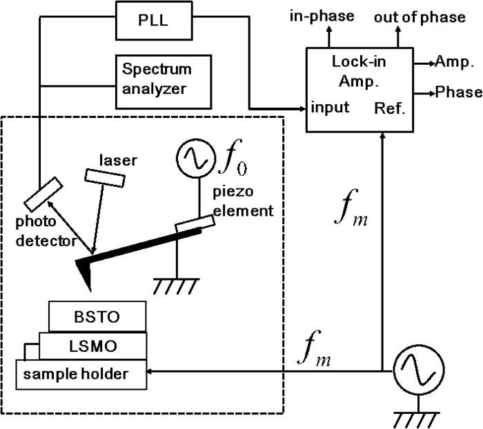Alternating electric force microscopy: Static electric field gradient ...