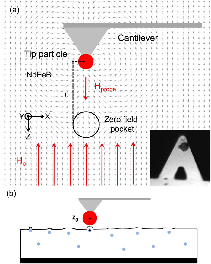 Magnetic particle imaging with a cantilever detector | Journal of ...