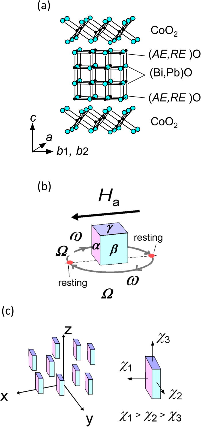 Magnetic tri-axial grain alignment in misfit-layered bismuth-based ...