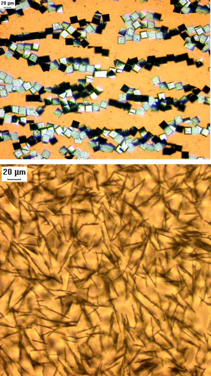 Field-structured, multilayered platelets enable high performance ...