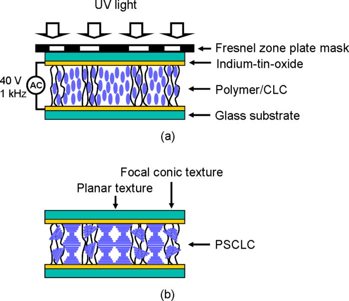 Polarization-selective color-filter Fresnel lens in polymer-stabilized ...