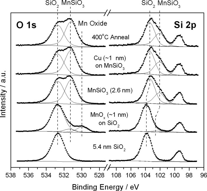 Chemical and structural investigations of the interactions of Cu with ...
