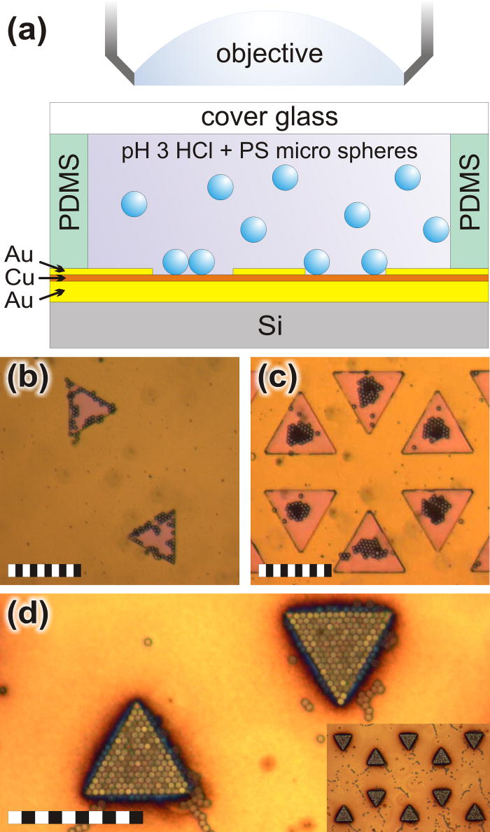 Autonomous colloidal crystallization in a galvanic microreactor ...