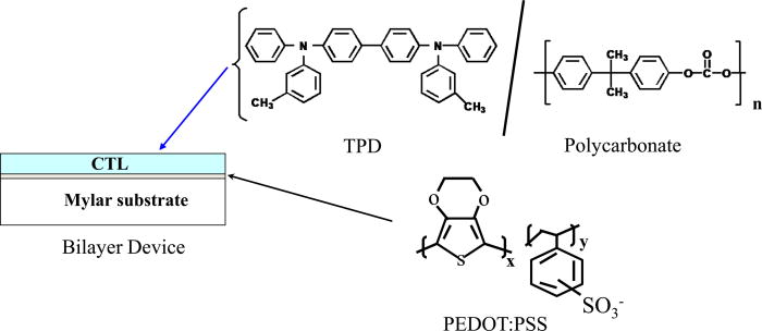 Direct electrostatic toner marking with poly(3,4-ethylenedioxythiophene ...