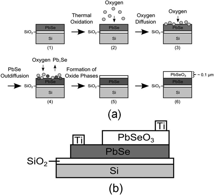 Infrared detectors based on semiconductor p-n junction of PbSe ...