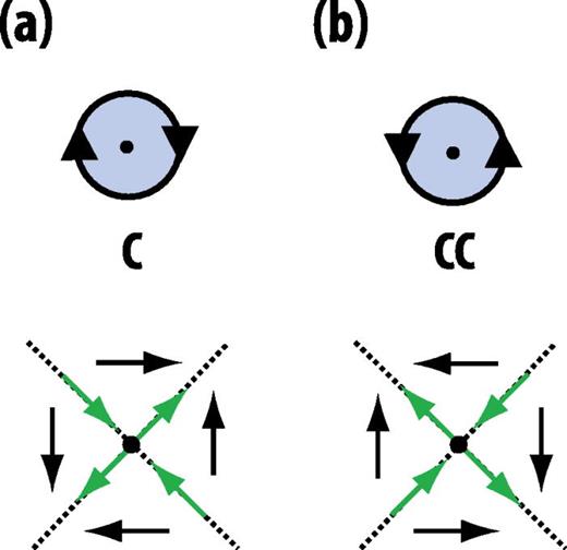 Mechanisms of magnetization reversal in stadium-shaped particles ...