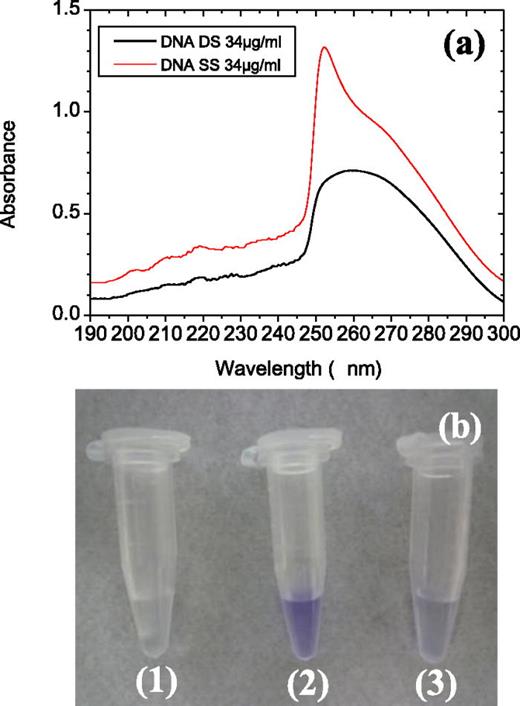 Metallic mesh-based terahertz biosensing of single- and double-stranded ...