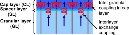 Effect of inhomogeneous microstructure of granular layer on inter ...