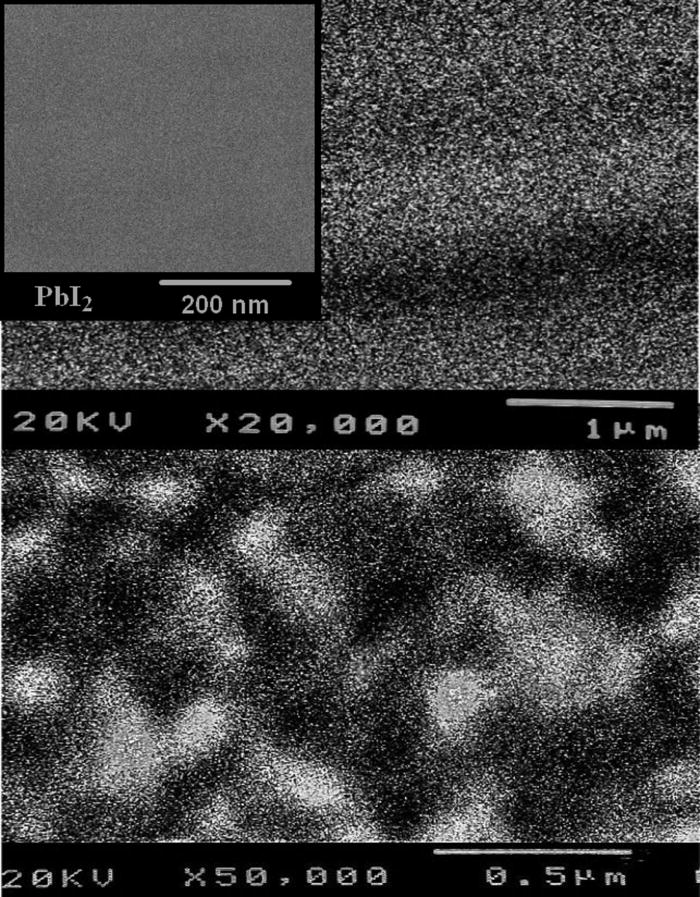 Time-resolved photoluminescence spectroscopy of excitons in layered ...