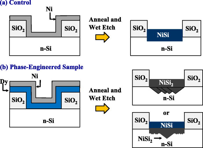 NiSi2 formation through annealing of nickel and dysprosium stack on Si ...