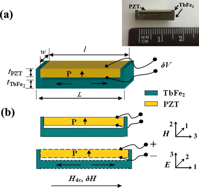 Giant magnetoelectric effect in mechanically mediated composite ...