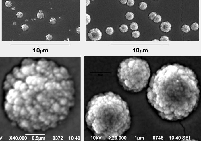 Spherical cluster ensembles with fractal structure in LaSrMnO: New form ... Spherical cluster ensembles with fractal structure in LaSrMnO: New form ...