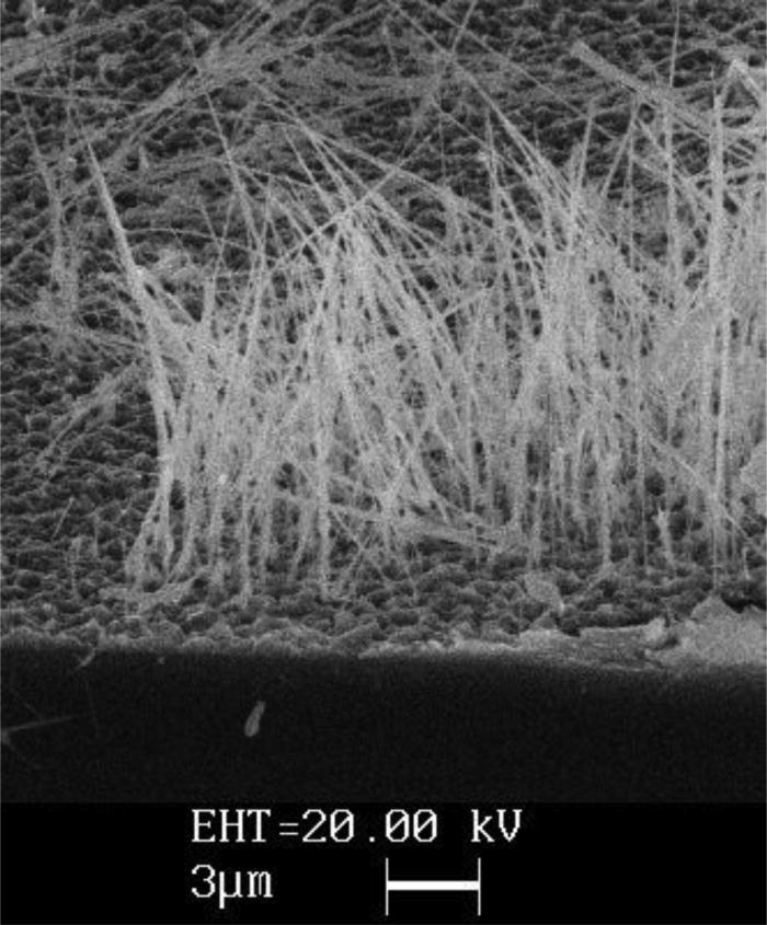 Crystal structure and optical characterization of heterostructured GaAs ...