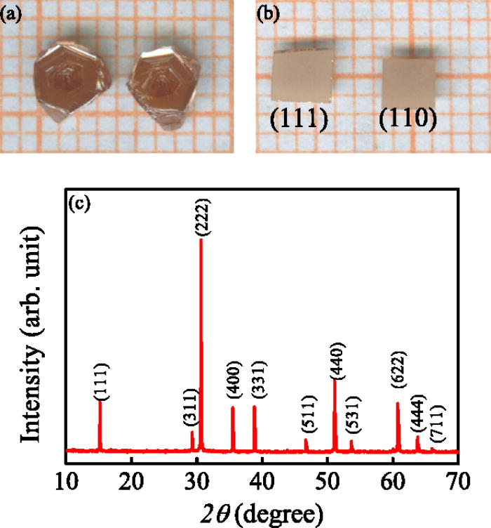 Multiferroicity in spin ice Ho2Ti2O7: An investigation on single ...