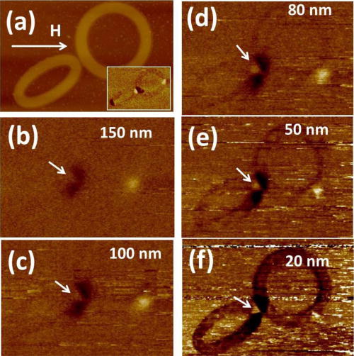 Lateral Interaction of transverse magnetic domain walls | Journal of ...