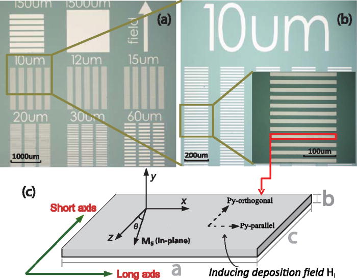 Single-domain shape anisotropy in near-macroscopic Ni80Fe20 thin-film ...