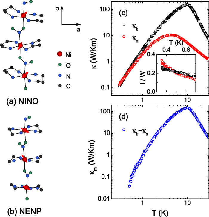 Large magnetic heat transport in a Haldane chain material Ni(C3H10N2 ...