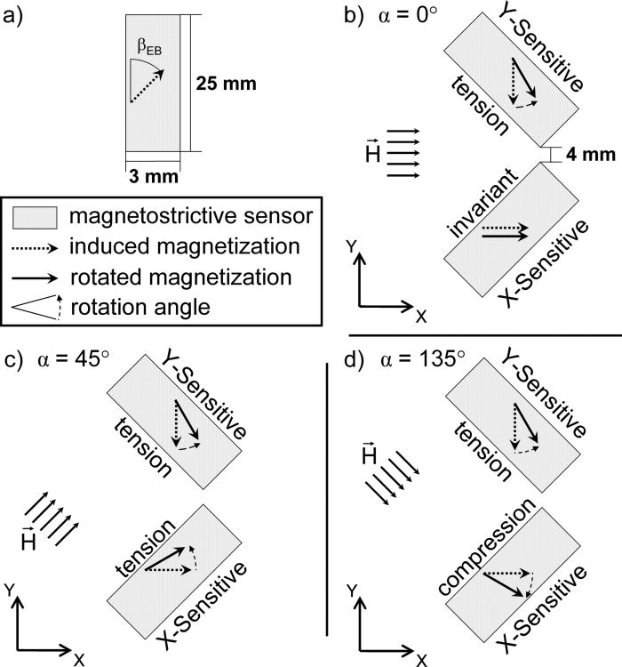 Exchange biased magnetoelectric composites for vector field ...
