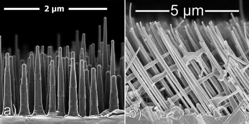 Magnetic properties of GaAs/Fe core/shell nanowires | Journal of ...
