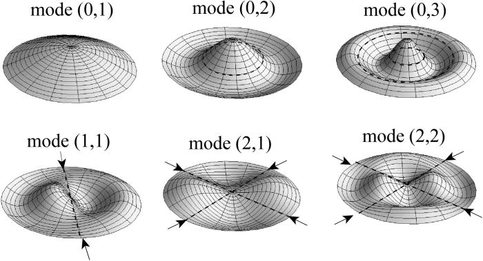 Study of the out-of-plane vibrational modes in thin-film amorphous ...