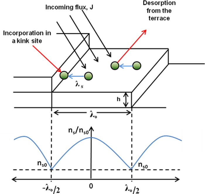 Step dynamics in the homoepitaxial growth of 6H-SiC by chemical vapor ...