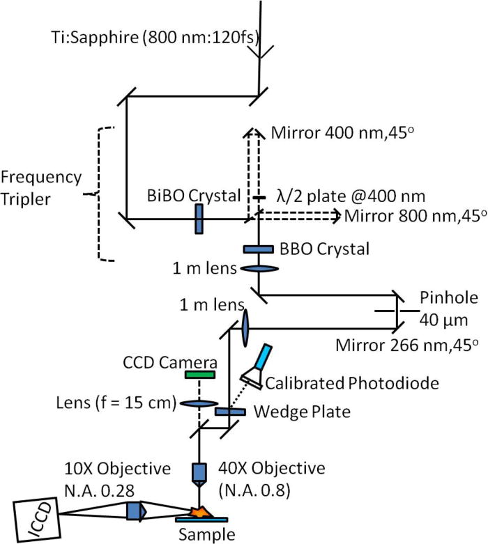 Femtosecond laser plasma plume characteristics in the nanojoule ...