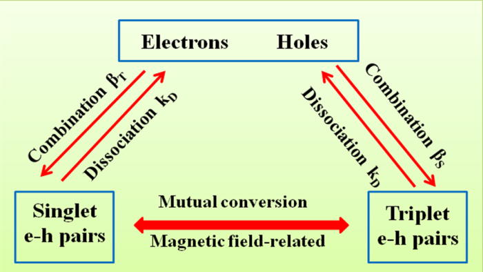 Investigating the magnetic field effect on electron-hole pair in ...