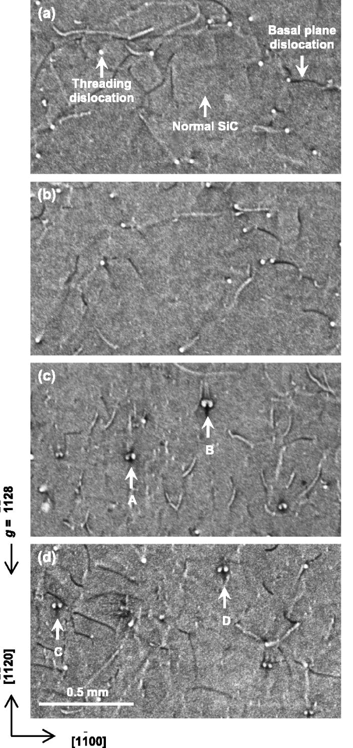 Appearance of local strain fields and high electrical conductivity of ...
