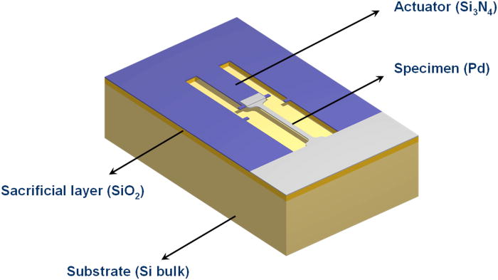 Study of creep/relaxation mechanisms in thin freestanding ...