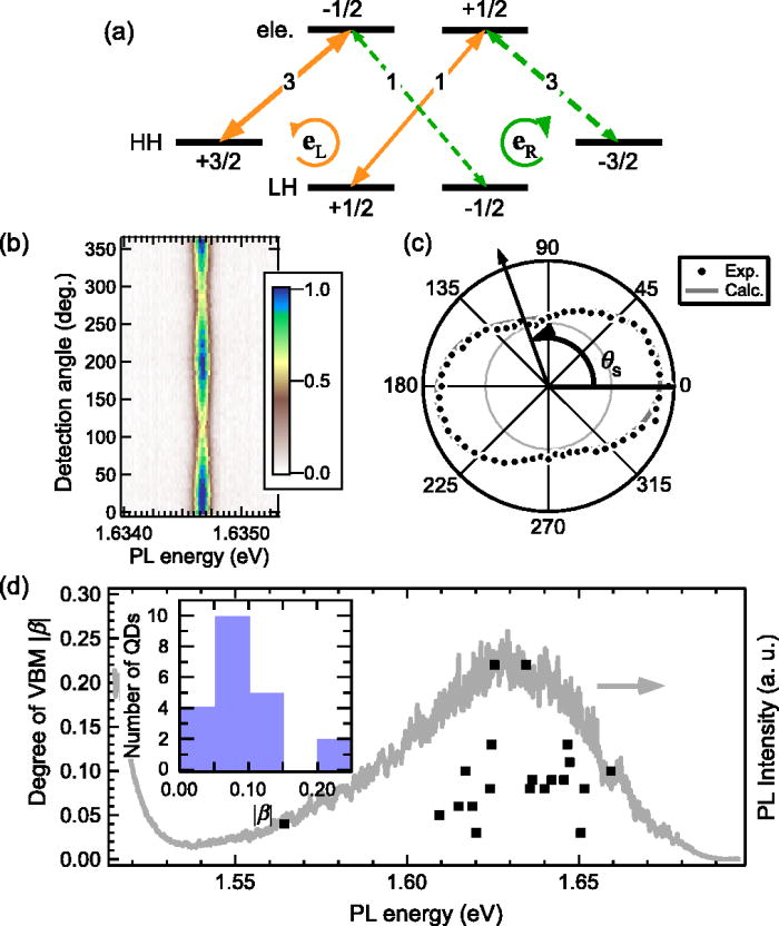 Effects of valence band mixing on hole spin coherence via hole-nuclei hyperfine interaction in ...