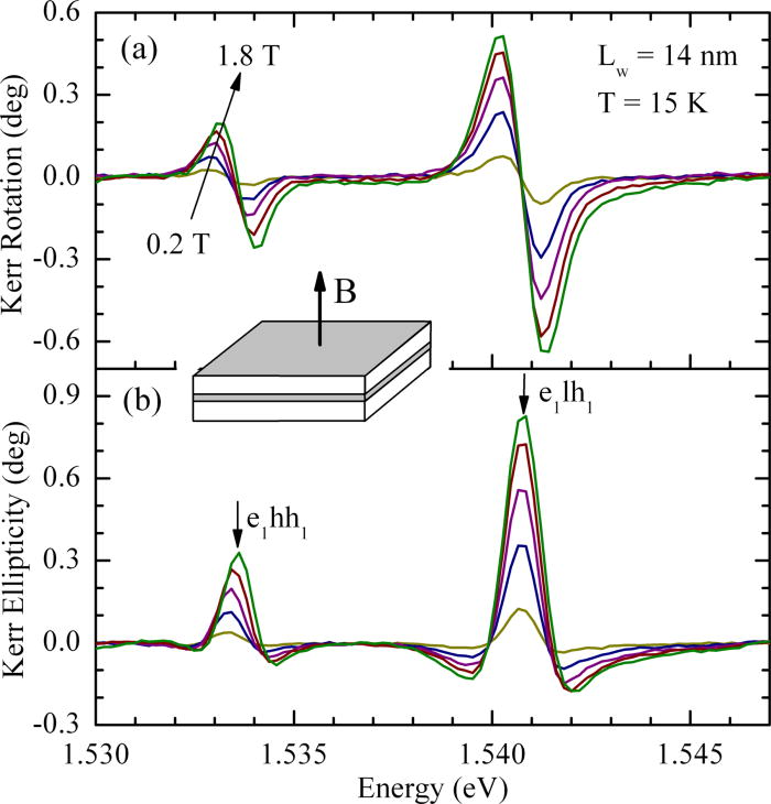Magneto-optical Kerr effect spectroscopy based study of Landé g-factor ...
