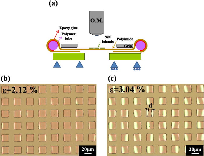 Islands stretch test for measuring the interfacial fracture energy ...