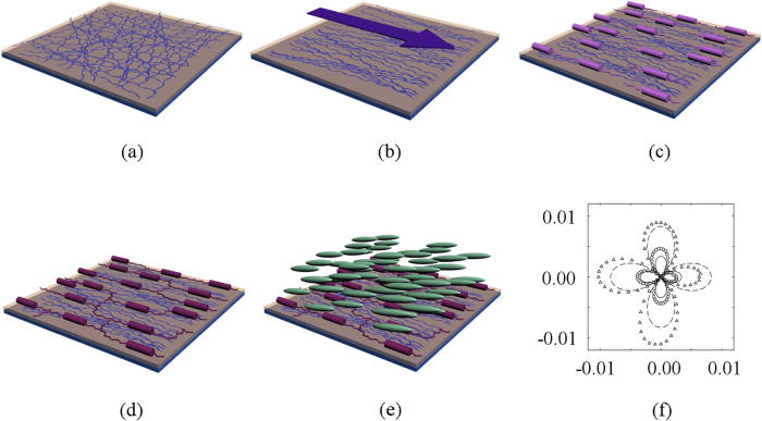 Effects of surface modification with reactive mesogen on the anchoring ...