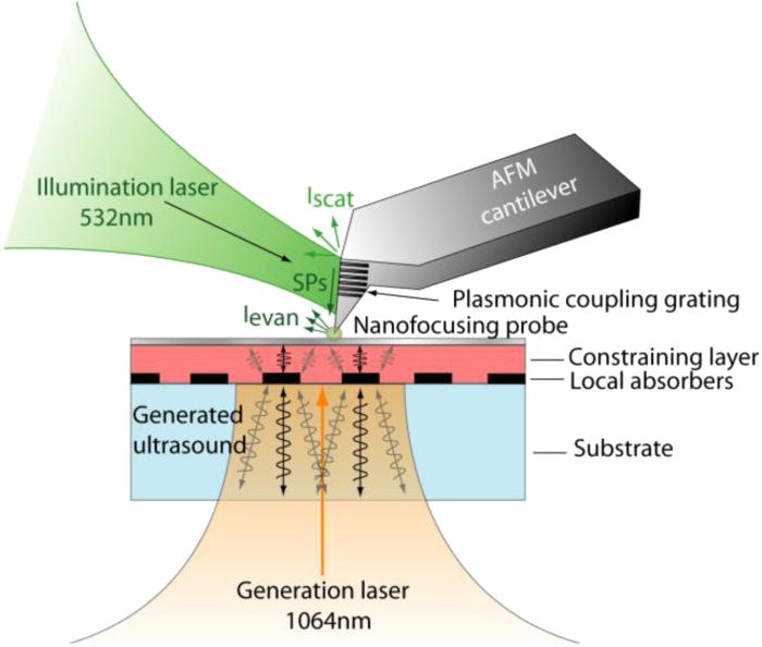 Ultrasonic near-field optical microscopy using a plasmonic nanofocusing ...