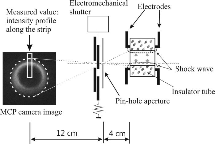 The effect of preionization on the shock wave evolution in a fast ...