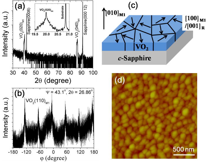 Comprehensive study of the metal-insulator transition in pulsed laser ...