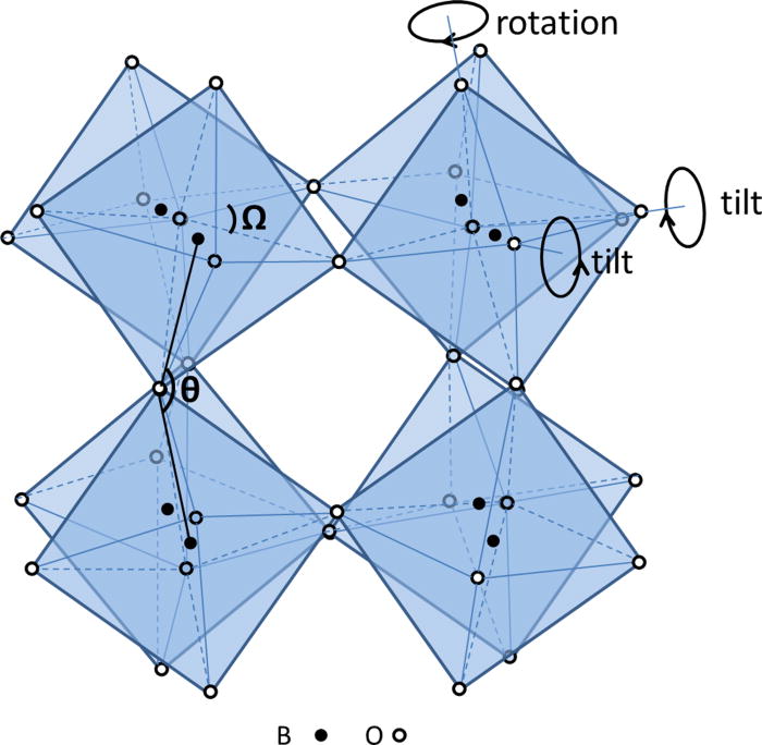 The role of octahedral tilting in the structural phase transition and ...