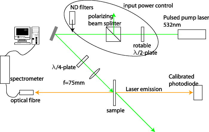 Numerical simulation of stimulated emission and lasing in dye doped ...