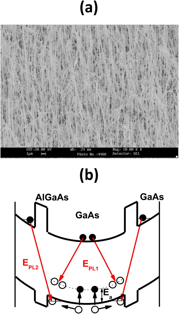 Photoluminescence of radial heterostructured GaAs/AlGaAs/GaAs nanowires ...